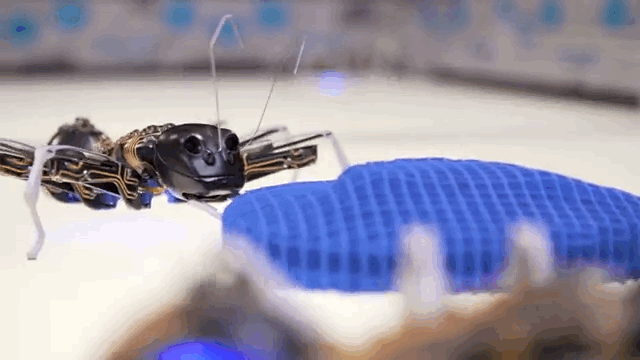 3D-Printed Bionic Ants Work as a Terrifying Team