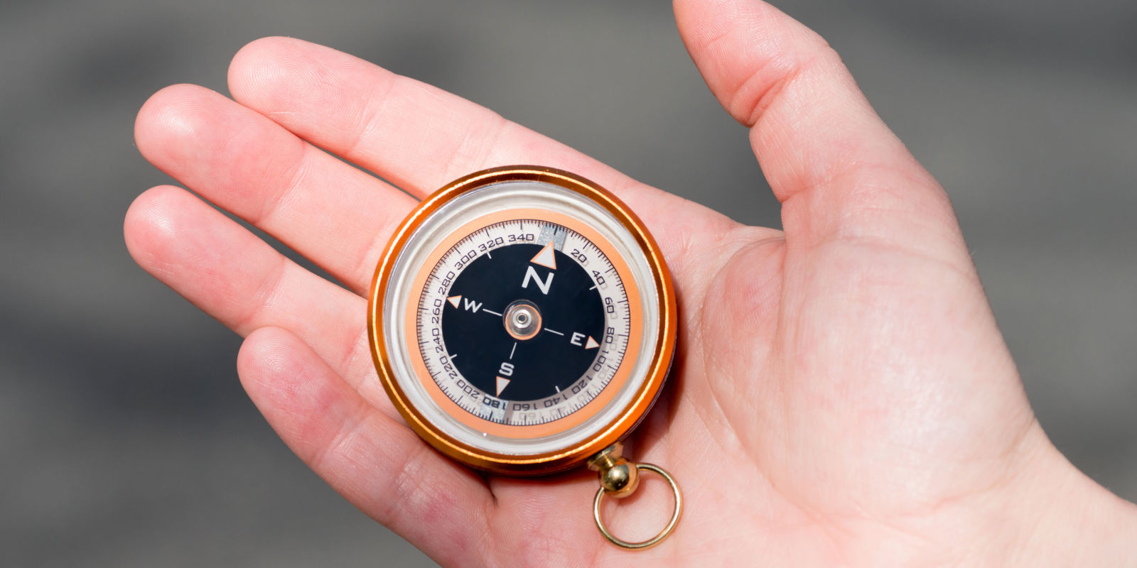 Navigating Skills Without a Compass - How to Find Your Way Without a ...