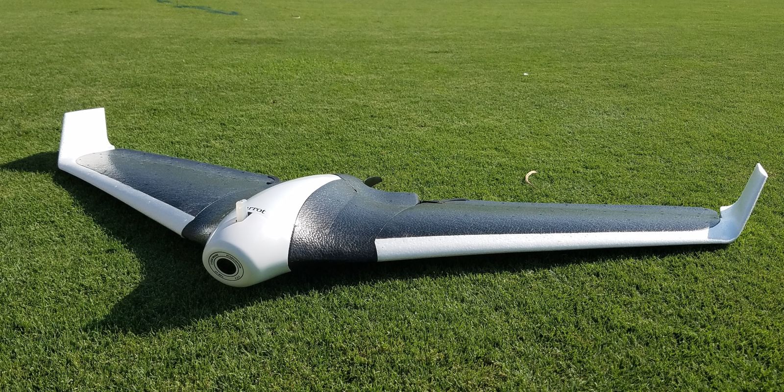 Disco Drone Hands-On: Crashing Parrot's New Fixed-Wing Flier