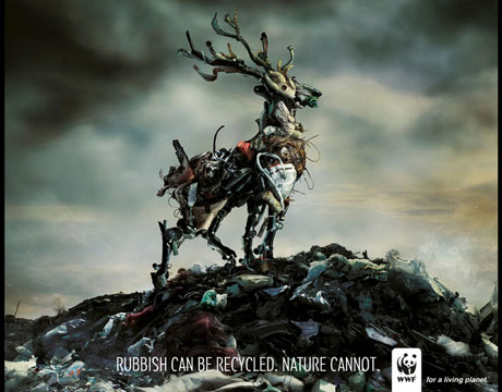 Best Environmental Ads - Powerful Environmental Ads